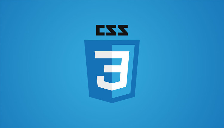 CSS Input Placeholder 